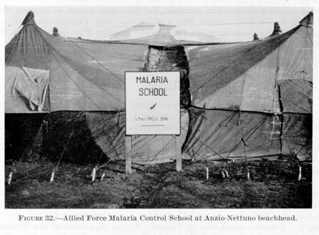 The Malaria in Anzio in WW2 | Anzio Battlefield Tours by Danila Bracaglia